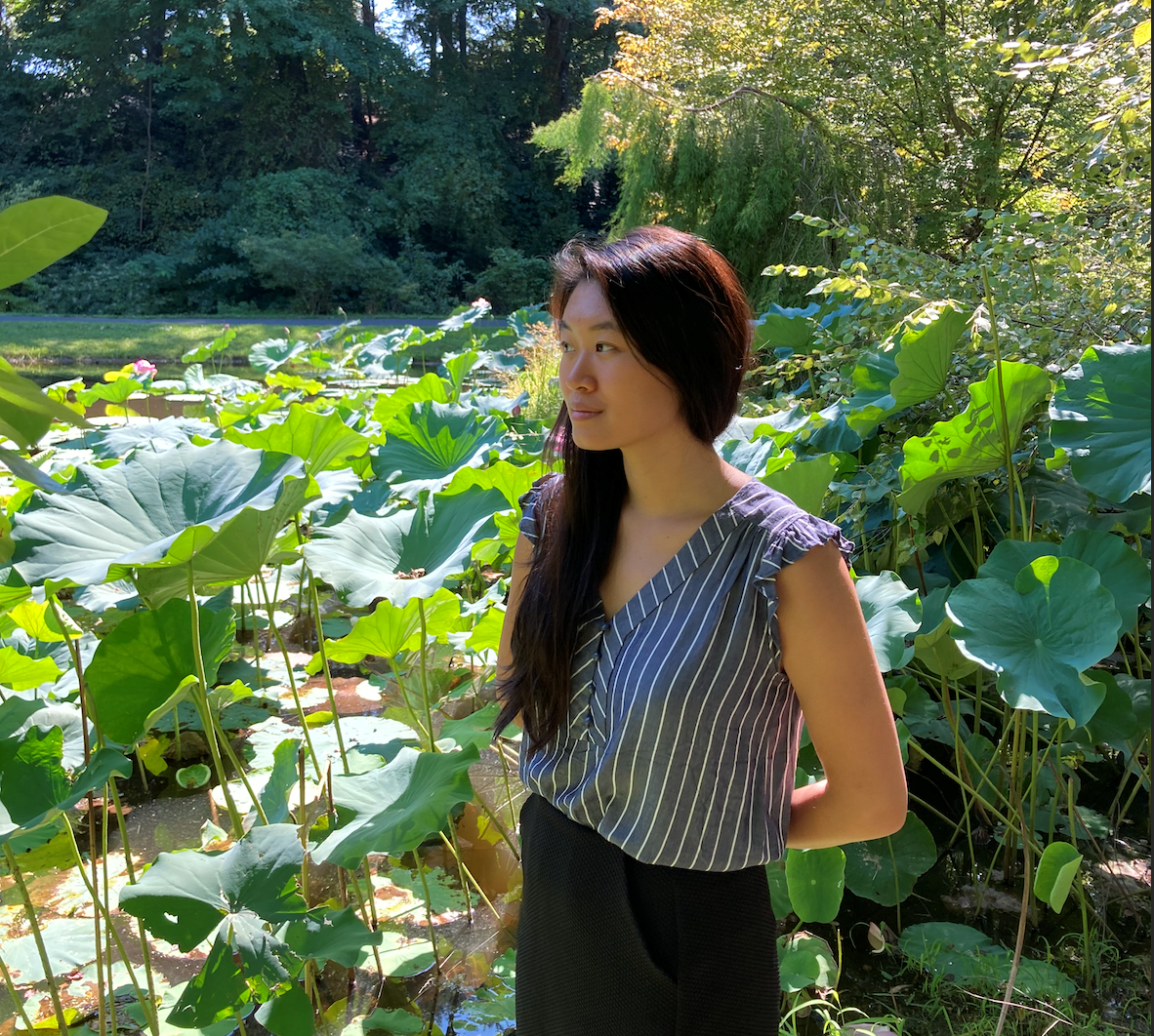 Amy Chang | Harvard Mellon Urban Initiative